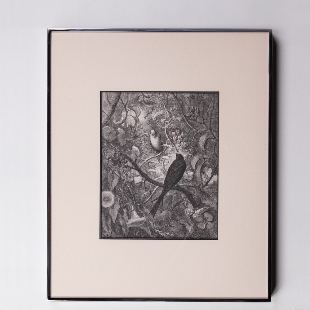 Gustave Doré Bird – carabas